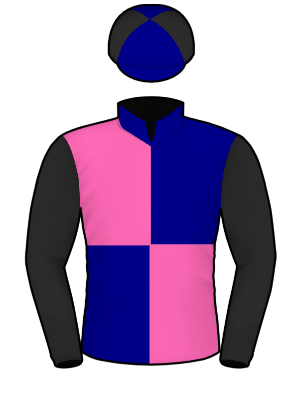 Race 3 Pinjarra Scarpside Jane Whitehorn & Locky Pleasance Mdn Betting ...