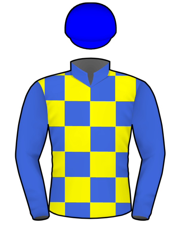 Race 5 Wingatui Cargill Contracting And Wae (Bm65) Betting Odds | Sportsbet