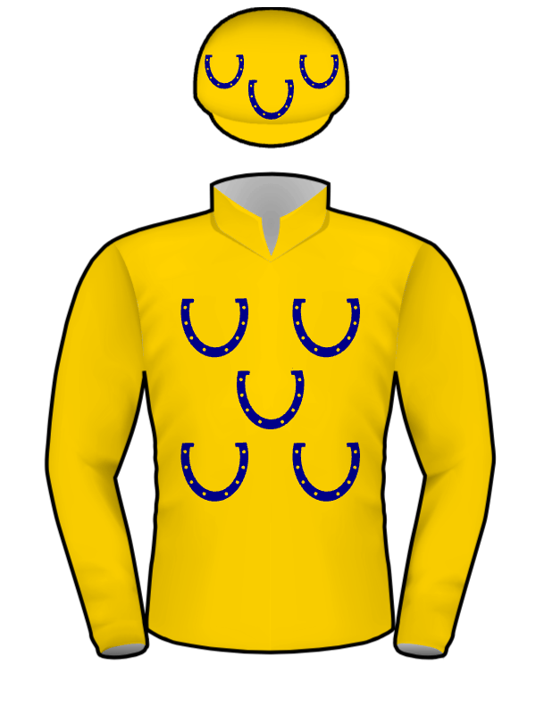 Race 1 Ipswich Tab Mdn Betting Odds | Sportsbet