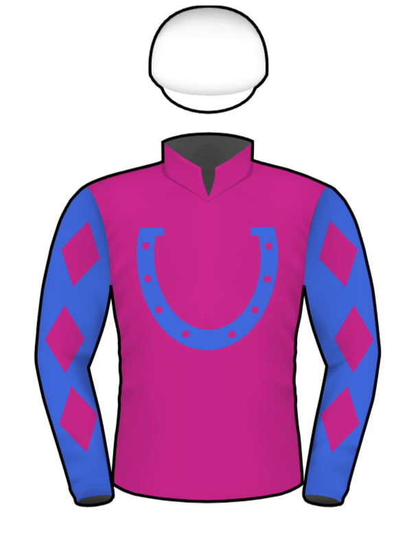 Race 7 Pinjarra Scarpside Kirsty's Celebration – 40 Years In The Making ...