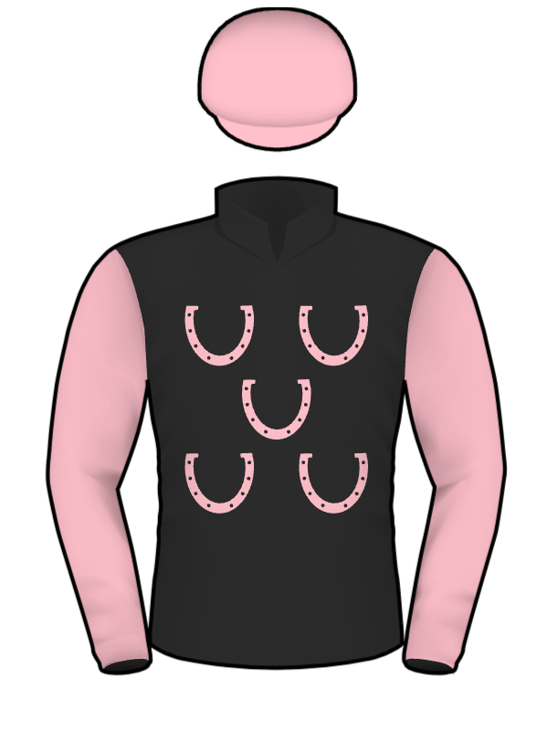 Race 7 Sunshine Coast Higgins Coatings Hcp (C2) Betting Odds | Sportsbet