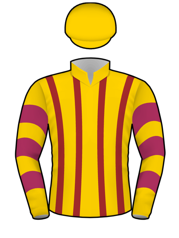 Race 7 Sunshine Coast Paddy Walsh Painting & Solid Plastering Mdn Hcp ...